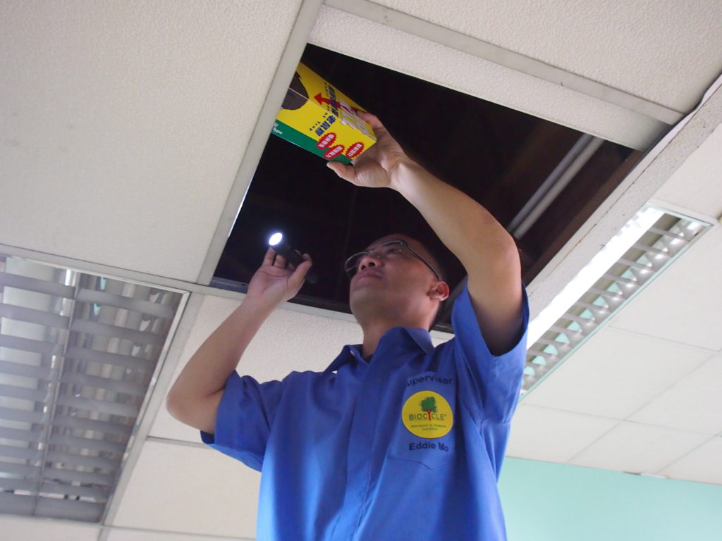 Rodent Control Services | Rat & Mice Control | HK - BioCycle (Hong Kong ...