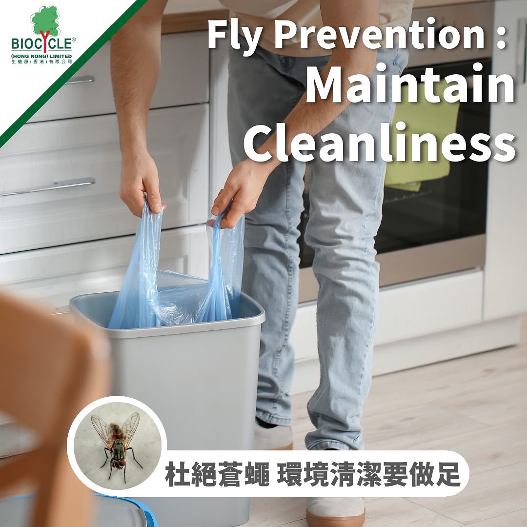 Fly Prevention: Maintain Cleanliness - BioCycle (Hong Kong) Limited